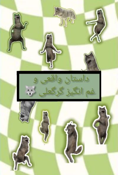 داستان غم انگیز گرگعلی🐺 تستچی