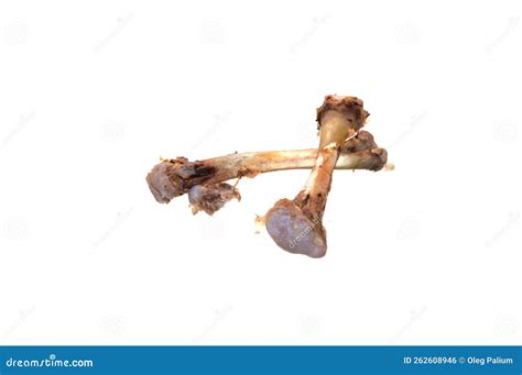 Chicken Bone Emoji At Edna Mondragon Blog