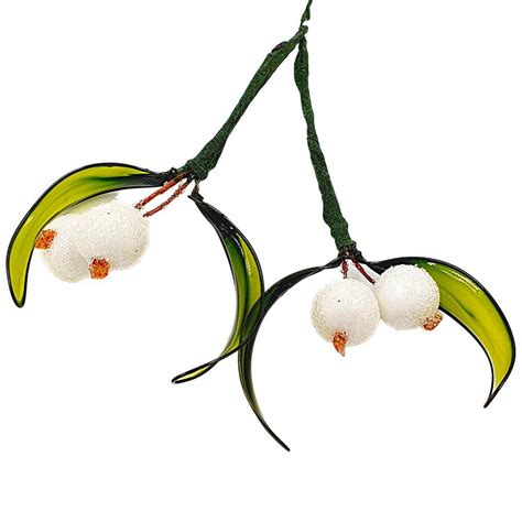 Mistletoe Resin Dip Kit