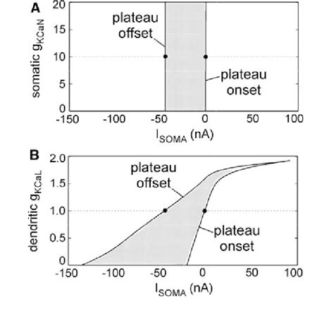 Two Parameter Bifurcation Elucidating The Differential Role Of Somatic