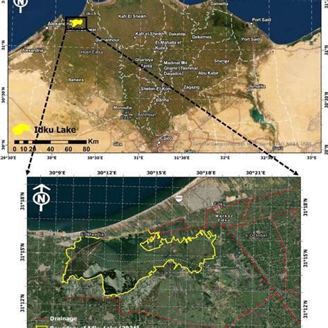 The Bathymetric Map Of Idku Lake Download Scientific Diagram