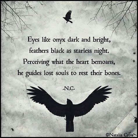 Pin By 𝕮𝖗𝖔𝖜 𝖔𝖋 𝕺𝖉𝖎𝖓 On Wisdom Of The Crow Dreamer Quotes Literature