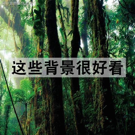 9 14 สติกเกอร์กระดาษ Hd 3d สําหรับติดตกแต่งพื้นหลังตู้ปลา Fffsdfv32va Th Thaipick