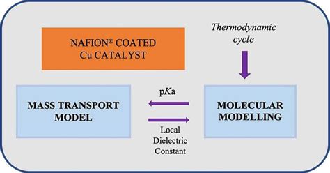 Schematic Diagram Of Multiscale Model Download Scientific Diagram