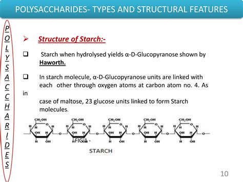 Polysaccharides Types And Structural Features PPTX