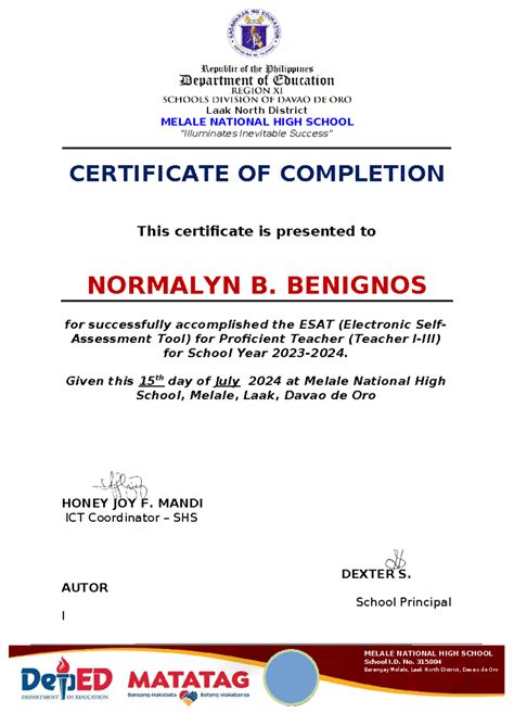 Ict Cert Esat Sample Melale National High School School I No