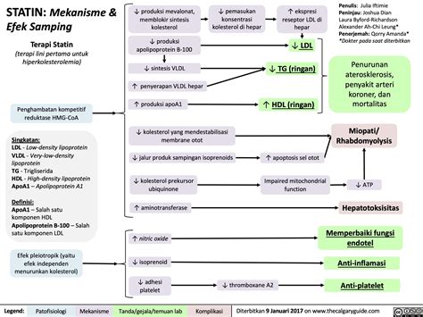 Statin Mekanisme And Efek Samping Calgary Guide
