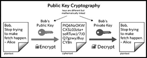 2 Public And Private Key Download Scientific Diagram