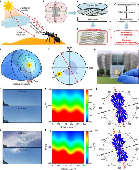 Bionic Polarization Navigation Implemented By C8 Btbt Based Download Scientific Diagram
