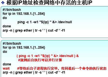 shell中的for循环用法详解 腾讯云开发者社区 腾讯云