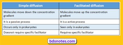 Comparison Between Simple And Facilitated Diffusion Bds Notes