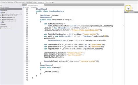 Intro To Selenium Webdriver With Net Core Part 2 Ultimate Qa
