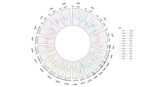 Chapter 5 Geom Genomic Track Layers Ggcirclize Reference Book