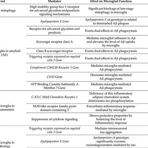 The Protective And Pathological Roles Of Microglia In Ad Pathogenesis