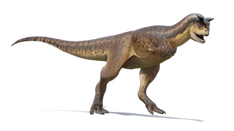 Scientists Reveal The Fossilised Skin Of A Bull Like Carnivorous