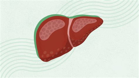 Wegovy May Halt And Even Reverse Severe Liver Disease