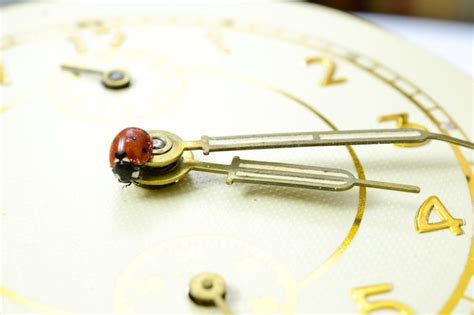 Premium Photo Ladybug On A Clock Face