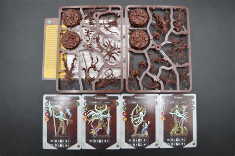 Warhammer Aos Underworlds Sylvaneth Yltharis Guardians W Cards Ebay