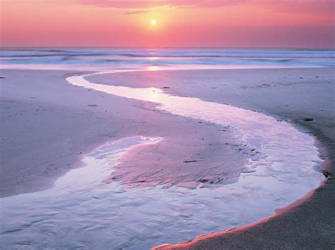 Pink Sunset Wallpaper Beach Photography Decor