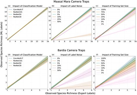 deep learning based ecological analysis of camera trap images is