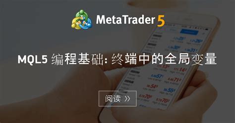 Mql5 编程基础 终端中的全局变量 Mql5文章