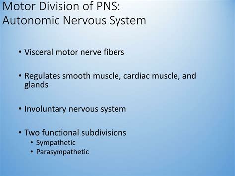 Ppt Organization Of Nervous System Functions And Cranial Nerves