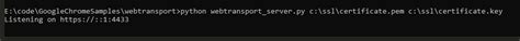 [webtransport] struggling to run example webtransport example out of