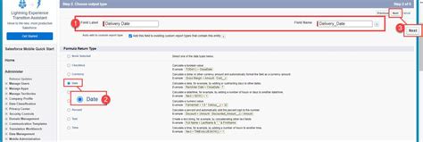 Salesforce Date Formula Business Days