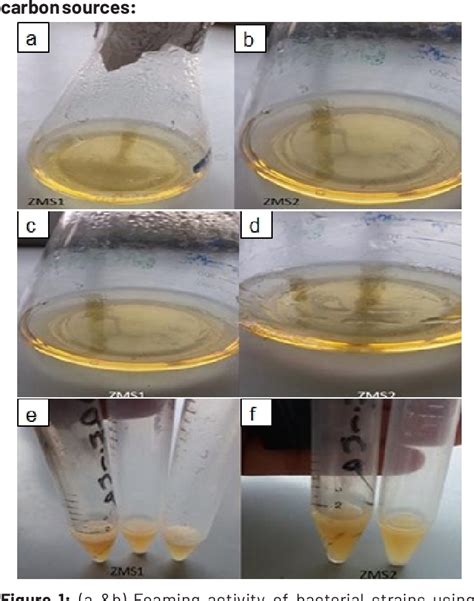 Figure 1 From Efficacy Of Indigenous Microbes For Removal Of Oil
