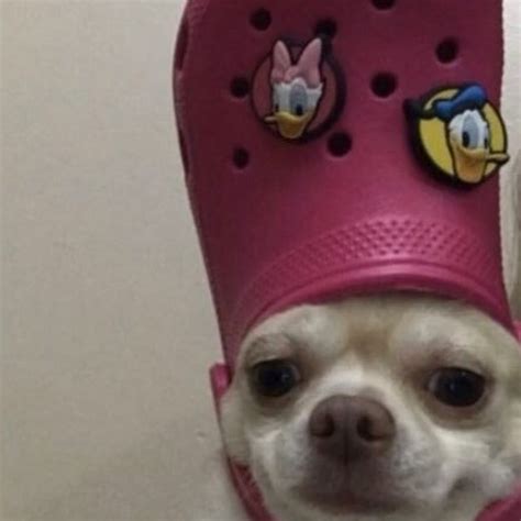 Hunter Fahey Youtube