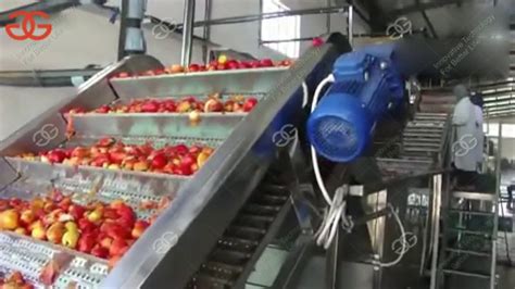 Tomato Paste Production Linetomato Sauce Processing Planttomato Paste