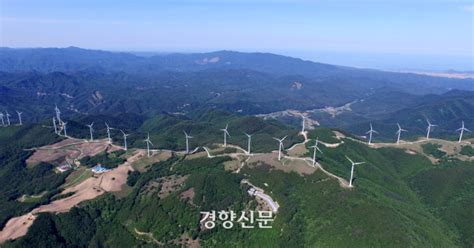 풍력발전업체가 낸 환경영향평가서 조사해 보니··· 의도적 조사 회피”