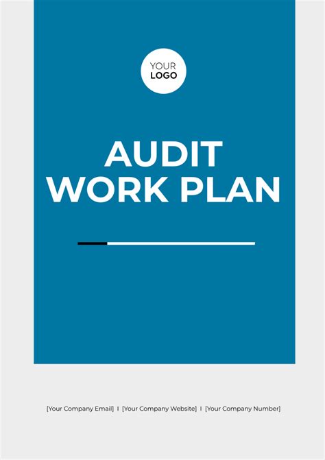 Free Audit Work Plan Template Edit Online And Download