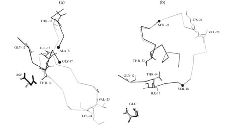 Sites Of Flexible Loops In The Subunits Of Corresponding Complexes Of