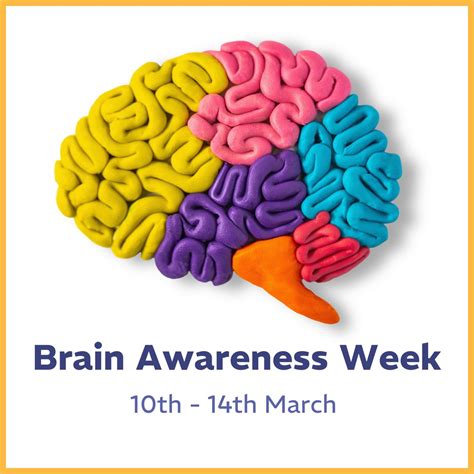 Brain Awareness Week 2025 Learn Engage And Take Action 🧠 This Week