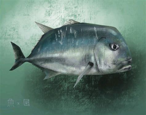 Praful Kumar On Linkedin Procreate Illustrator Opentowork