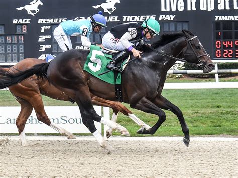 ‘this Horse Is A Miracle Sixth Generation Homebred Damons Mound