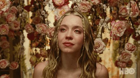 Euphoria 10 Curiosidades Sobre A Série Dramática Da Hbo Hollywood
