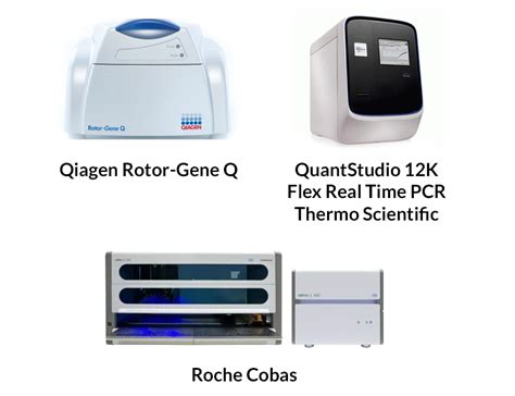 Quantitative Gene Expression Analysis Discovery Life Sciences