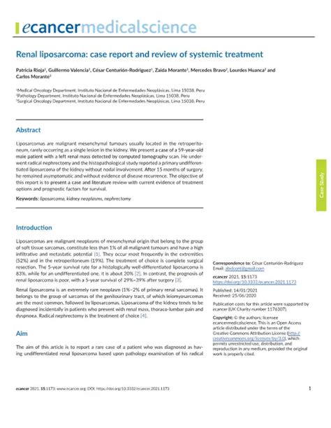Renal Liposarcoma Case Report And Review Of Systemic Treatment Docslib
