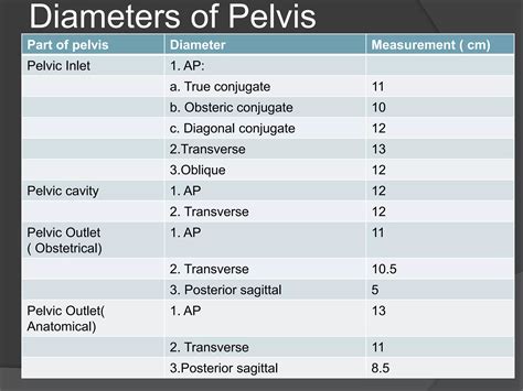 Anatomy Of Female Pelvis And Fetal Diameters 2020 Pptx