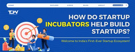 How Do Startup Incubators Help Build Startups Thecodework