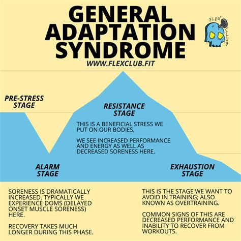 Sexual Response Stages And General Adaptation Syndrome Venn Di