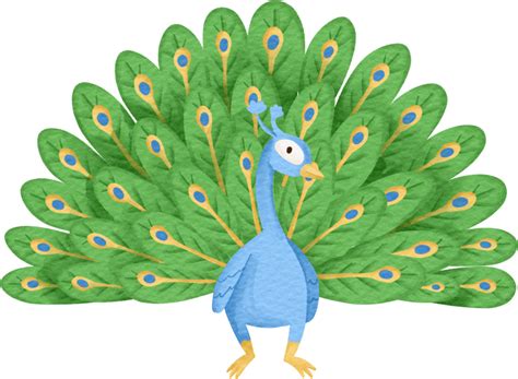 Peacock Pngs For Free Download