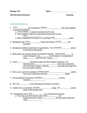 Virtual Enzyme Lab Worksheet Name Date