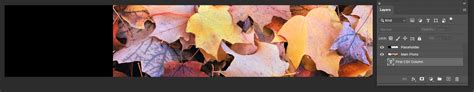 Solved Using Datasets Adobe Community 2665594