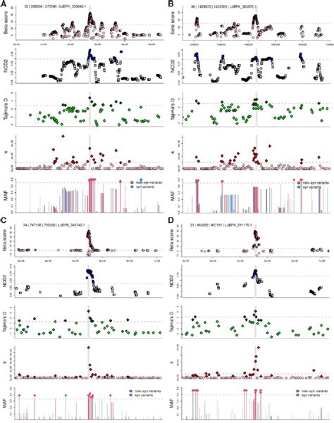 Candidate Genes Show Multiple Genetic Signatures Of Balancing Download Scientific Diagram