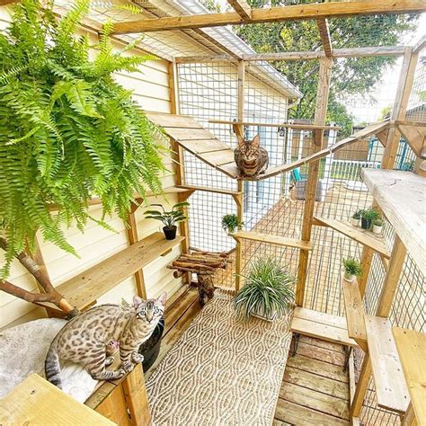 19 Cat Enclosure Ideas In 2025 Cat Enclosure Cat Room Cat Patio