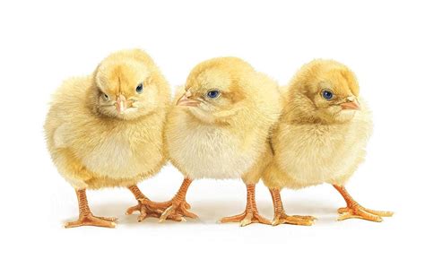 Getting Unstuck Means Being Stuck To Others By Kenton Wan Medium