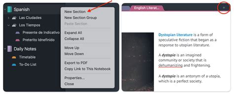 Notebook Management Sections Outline